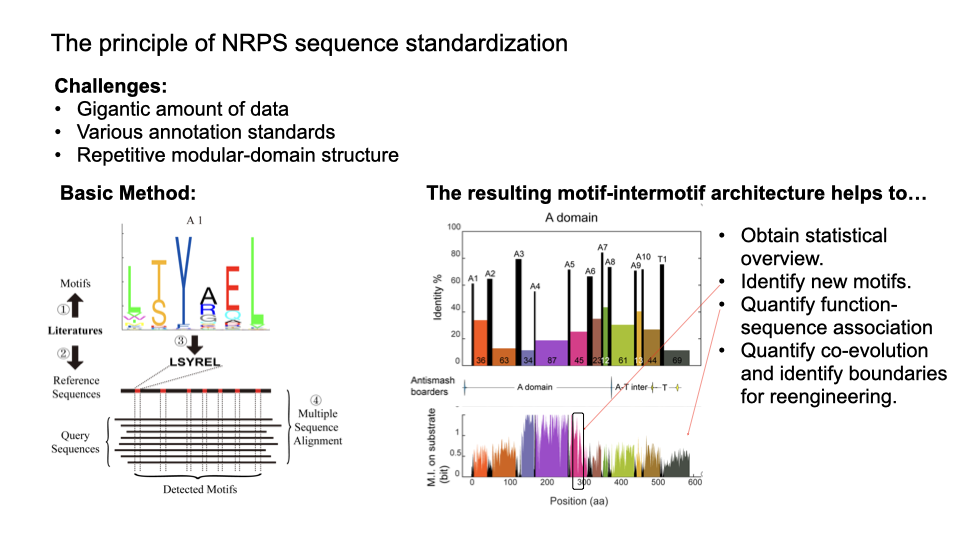 BDA Information Suite - Informatics